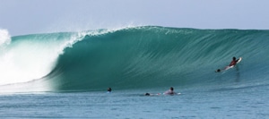 Mentawai Surf & Waves : Macaronis, Greenbush, Roxies and Thunders