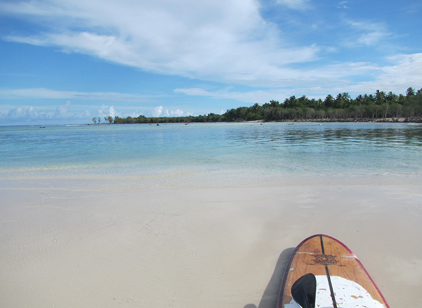 Paddle Board
