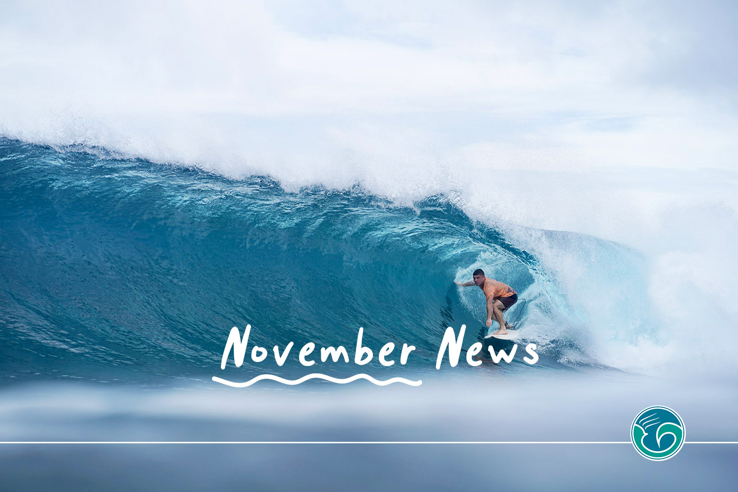 November News Update